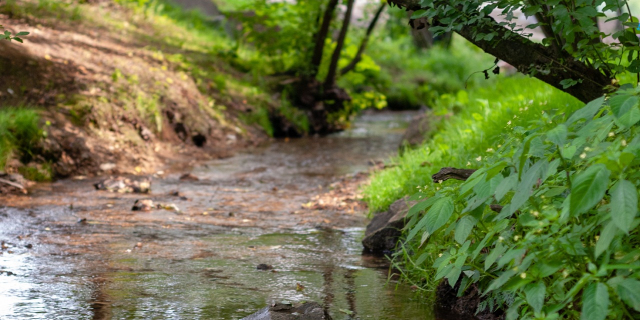 Edgars Creek Corridor Landscape Improvement Plan | Engage City of ...