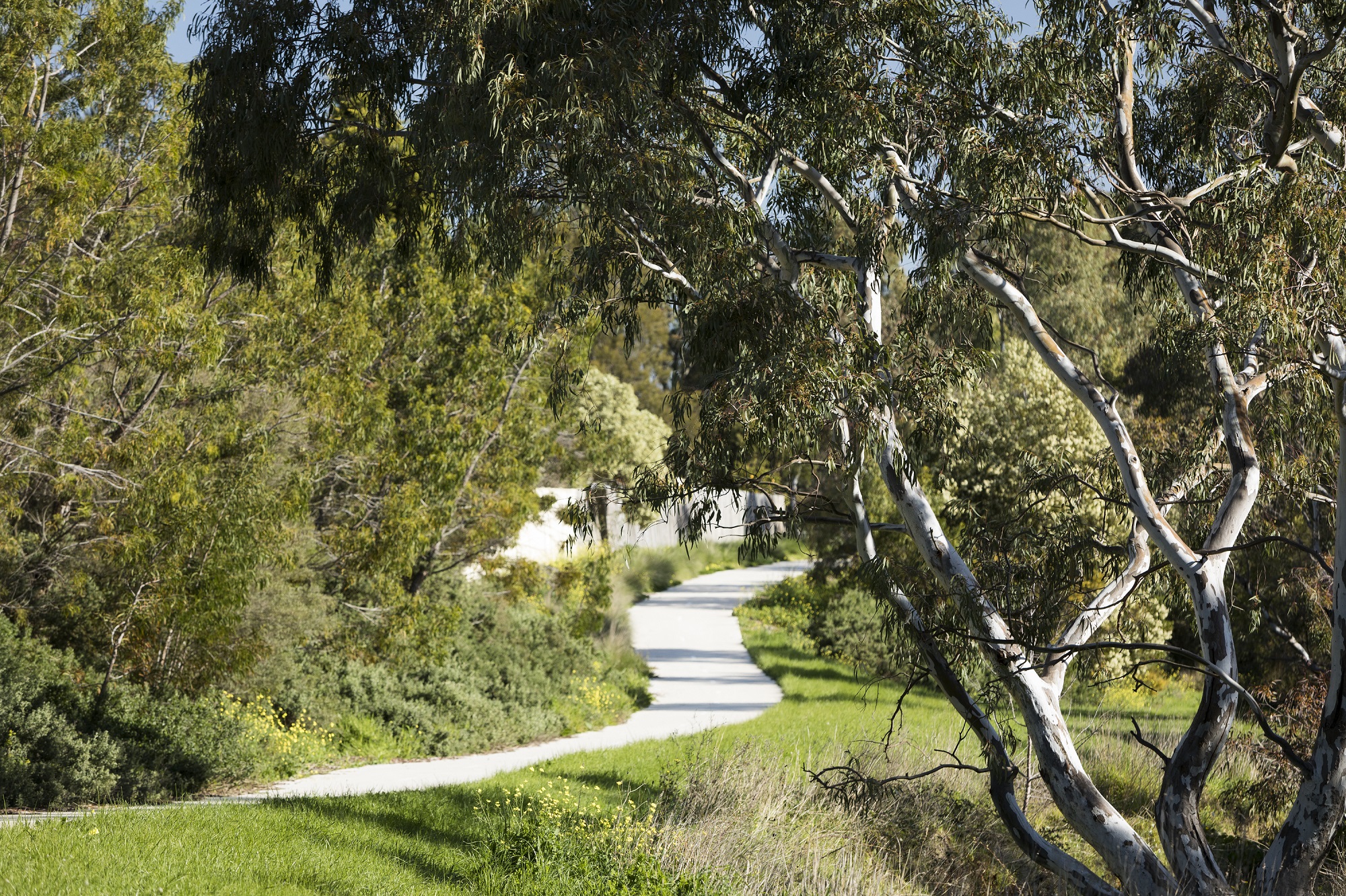 Greening Whittlesea Strategy | Engage City of Whittlesea